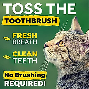 Fresh Breath by TropiClean Oral Care Water Additive for Cats, 16oz - Made in USA