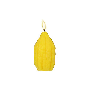 SHALHEVET LIGHT Havdalah Candle - Etrog Shaped | Elegant Jewish Candle for Havdalah | Kosher Wax, Handcrafted Design, Long-Burning | Unique Etrog Candle for Jewish Traditions & Shabbat End