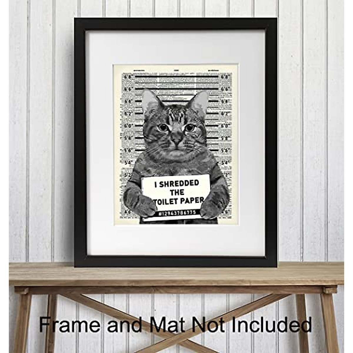 Guilty Cat Wall Decor - Cat Wall Art - Dictionary Art - 8x10 Humorous Poster, Mugshot Wall Art or Home Decoration for Bathroom, Bath - Funny Gag Gift for Cat Lovers - Upcycled Picture Photo Print