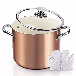 FRUITEAM Nonstick Stock Pot 7 Qt Soup Pasta Pot with Lid, 7-Quart Multi Stockpot Oven Safe Cooking Pot for Stew, Sauce & Reheat Food, Induction/Oven/Gas/Stovetops Compatible for Family Meals