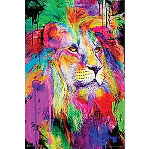 Rainbow King by Aimee Stewart - Non-Flocked Blacklight Poster 24" x 36"