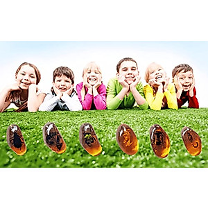 8pcs Amber Fossils with Insects Samples Stones Crystal Samples for Home Decorations Collections Oval Pendants Pendant Science Educational (8 Pcs)