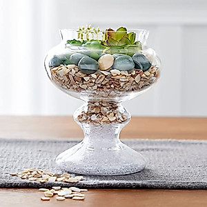 Ashland Michaels Bulk 8 Pack: Natural Crushed Shells