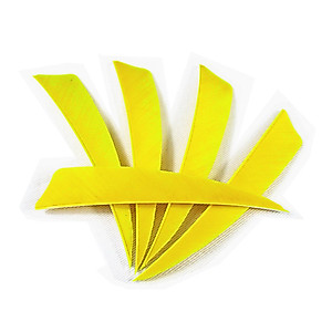 Zhan Yi Archery Fletchings Real Turkey Shield Feathers 4 inch Full Length 50 Pack Glued Right Wing for Arrows DIY