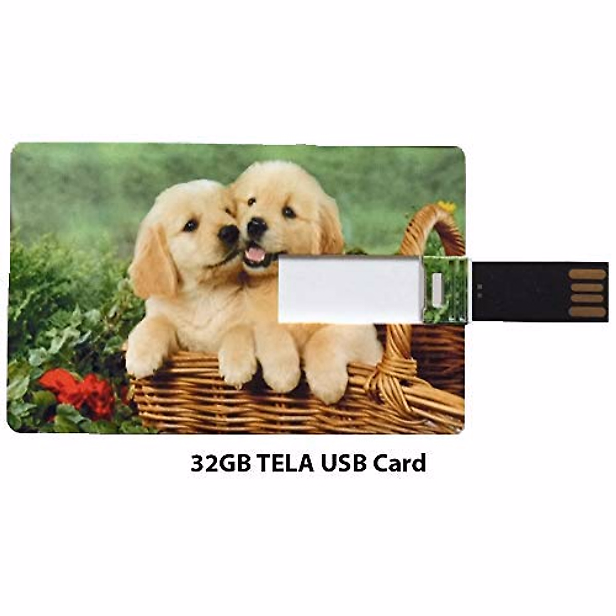 Dell Latitude 3500 Business Laptop, 15.6" HD, 10th Gen Intel Quad Core i5-10310U, 16GB DDR4 RAM, 1TB NVMe M.2 SSD, 500GB HDD, Windows 10 Pro, WiFi, Bluetooth, Webcam, USB-C, HDMI, VGA, (Renewed)