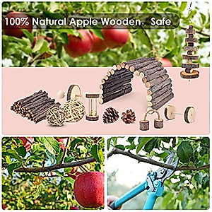 ERKOON 11 Pack Chinchillas Chew Toys, Toys Accessories for Teeth Care, Natural Apple Wood Ladder Bell Roller for Russian Hamster Gerbils Rats Guinea Pigs