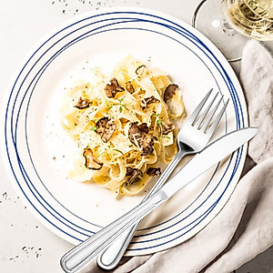 Dinner Forks Set of 12, E-far 7.9 Inch Stainless Steel Forks for Home, Kitchen or Restaurant, Non-toxic & Mirror Polished, Easy to Clean & Dishwasher Safe