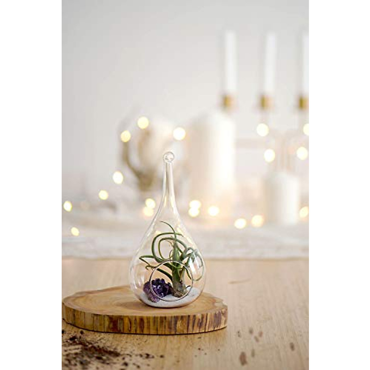 Mkono 3 Pack Glass Hanging Planter Air Fern Holder Terrarium Plants Hanger Vase Home Decoration Gift Idea for Succulent Moss Tillandsias Air Plants, Olive, Globe and Teardrop (Plant Not Included)