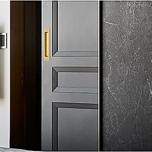 INCAUCA 2 Pack Barn Door Handles, 6 Inch Flush Door Pull, Recessed Door Handles, Sliding Closet Door Finger Pull, Rectangular Flat Plate for Pocket Door Drawer Cabinet Cupboard (Gold)