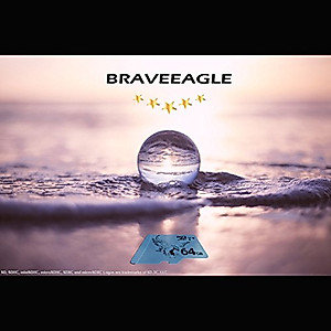 BRAVEEAGLE 64GB microSD Card Class 10 SD Memory Card UHS-1 for Camera/Drone/Dash Cam (64GB U1)