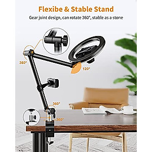 LUOLED Ring Light with Stand and Phone Holder, USB 10'' Ring Light for Desk, Overhead Camera Mount with Ring Light, Desktop Ring Light with Clamp for Photography/Makeup/Live Stream Video/YouTube