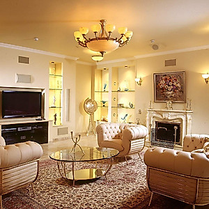 8 Pack G14 1W LED Light Bulb - 5000K Cool White 10 Watt Light Bulb Equivalent E26 Base - Small LED Night Light Bulb for Bedroom, Ceiling Fan, Table Lamp, Kitchen, Pendant Fixtures Low Watt Light Bulbs