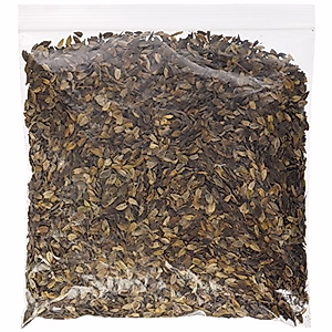 Zinnia California Giant Flower Seeds, 8 Oz, 22,000+ Seeds by Seeds2Go