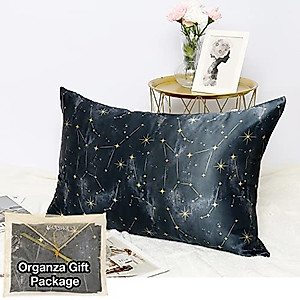 MANSPHIL Black Galaxy Stars Print Mulberry Silk Pillowcase Standard, Both Side 22 Momme 100% Silk Pillow Cases Cover with Hidden Zipper, Hypoallergenic Beauty Care for Hair and Skin, 20" x 26"