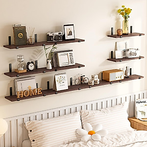 Fixwal Floating Shelves, Set of 10, Rustic Wood Wall Decor, Farmhouse Wall Mounted Shelves for Bedroom, Living Room, Kitchen and Bathroom (Walnut Brown)