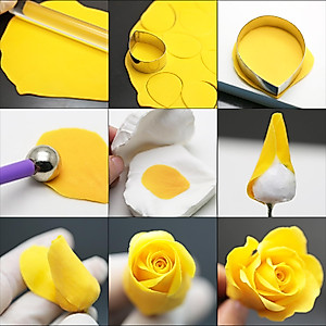 10 pcs Austin Rose Cutter Set Fondant Decor Kit Cake Decorating Gumpaste Flowers