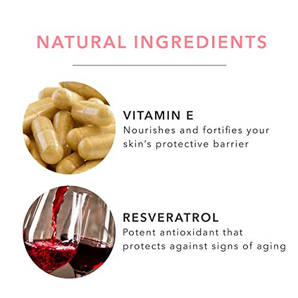 100% PURE Nourishing Body Cream Vanilla Bean Lotion Luxurious Dry Skin Hydration & Replenishment Natural Anti-Aging Moisturizer & Skincare for All Skin Types Women & Men - Vegan - 8 oz