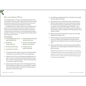 Green Witchcraft: A Practical Guide to Discovering the Magic of Plants, Herbs, Crystals, and Beyond (Practicing Green Witchcraft)