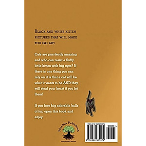 Meow-nificent Kittens: The Secret Personal Internet Address & Password Log Book for Kitten & Cat Lovers (Disguised Password Books)