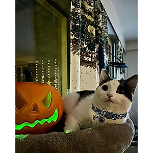 BoomBone Cat Collar Halloween Set of 2, Skull Cat Collar for Small Dogs, Holiday Kitten Collar with Bell