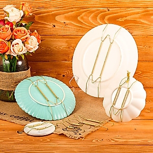 20 Pieces 20 Pieces Plate Hangers 4/5, 6, 8, 10 Inches Invisible Wall Plate Hangers Stainless Decorative Wire Plate Hangers with 20 Pieces Hangers Hook with Nails for Antique Plates and Art (Gold)