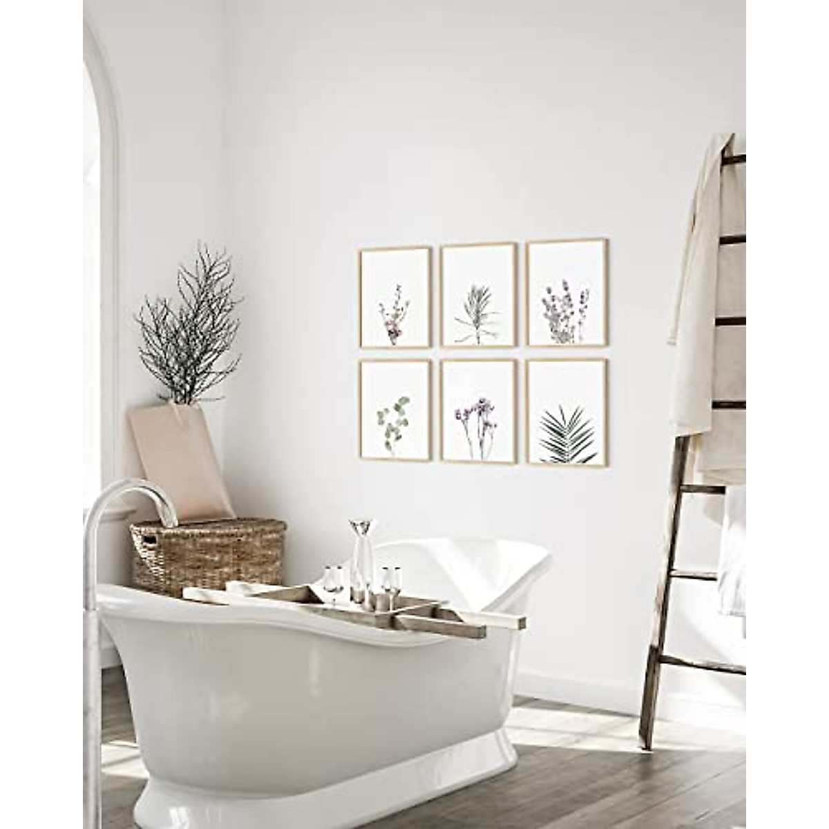 HAUS AND HUES Floral Prints and Plant Posters Set of 6 Botanical Prints Wall Art & Floral Wall Art, Wildflower Wall Art Plant Wall Art Minimalistic Wall Art Plant Set (8"x10", UNFRAMED)