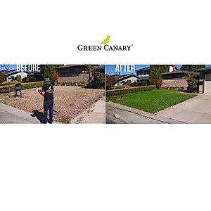 Green Canary Pre-Mixed Grass Colorant - 8 Liter Bottles (More Than 2 Gallons), Environmentally Safe, Natural Looking Turf, Green Grass Paint, Ready to Apply Grass Colorant, Made in USA