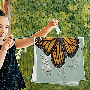 Hand Towels,2 Pack Monarch Butterfly Illustration Drawn in Pen with Digital Color Soft Luxury Towel for Bathroom Kitchen, Beach