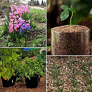 YeeSite 5 Quart Organic Vermiculite Granules for Plants and Gardening Suit for Root Cuttings, Seed Germination, Arranging Flowers