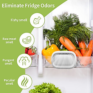 Mini Fridge Deodorizer, 2 Modes Refrigerator Odor Eliminator, Portable Rechargeable Deodorizer Reusable, Antifreeze Design Ozone Sterilizer for Fridge, Wardrobe, Cabinet, Car