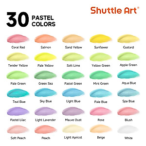 Shuttle Art 40 Pack Pastel Acrylic Paint Set, 30 Colors, 60ml/2oz Bottles, High Viscosity, Water-proof Paint With 10 Paint Brushes for Painting &Crafting on Canvas, Rock, Ceramic, Fabric