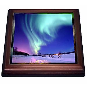 3dRose Alaska Portarlicht Trivet with Ceramic Tile, 8 by 8", Brown