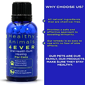 Healthy Animals 4 Ever Oral Health Gum Healing for Cats - Relieves Inflammation, Soothes Pain, Fights Gum Disease - Natural, Non-GMO, Organic - Gluten, Preservative & Chemical Free Supplement - 300 ct
