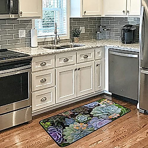 KFBE Succulents Plant Area Rugs 39x20 inch Carpet for Kitchen, Bathroom, Laundry Room, Bedroom (20809835)