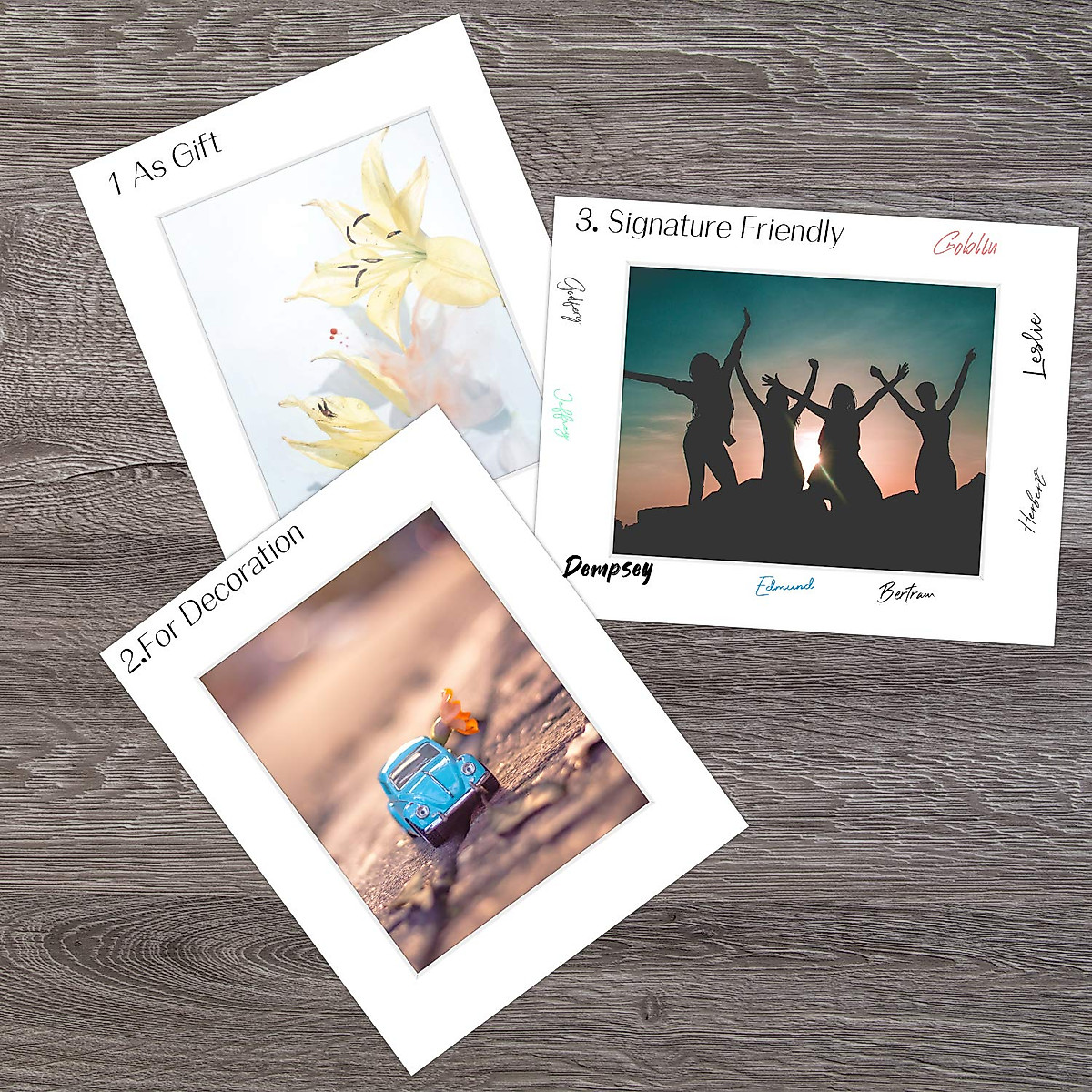 Golden State Art, White Pre-Cut 16x20 Picture Mat for 11x14 Photo with White Core Bevel Cut Mattes Sets. Includes High Premier Acid Free Mats & Backing Board & Clear Bags (5 Kit)