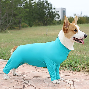 Forthcan Dog Recovery Suit Anxiety Calming Shirt for Dog E-Collar Alternative Pet Wounds Protector Medical Surgical Clothes Prevent Shedding Hair Jumpsuits Suit for Home, Car, Travel (XXXL, Blue)
