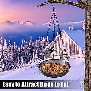 Gtongoko Hanging Bird Feeder Tray, Metal Mesh Platform Feeders for Birds, Outdoor Garden Decoration for Attracting Birds
