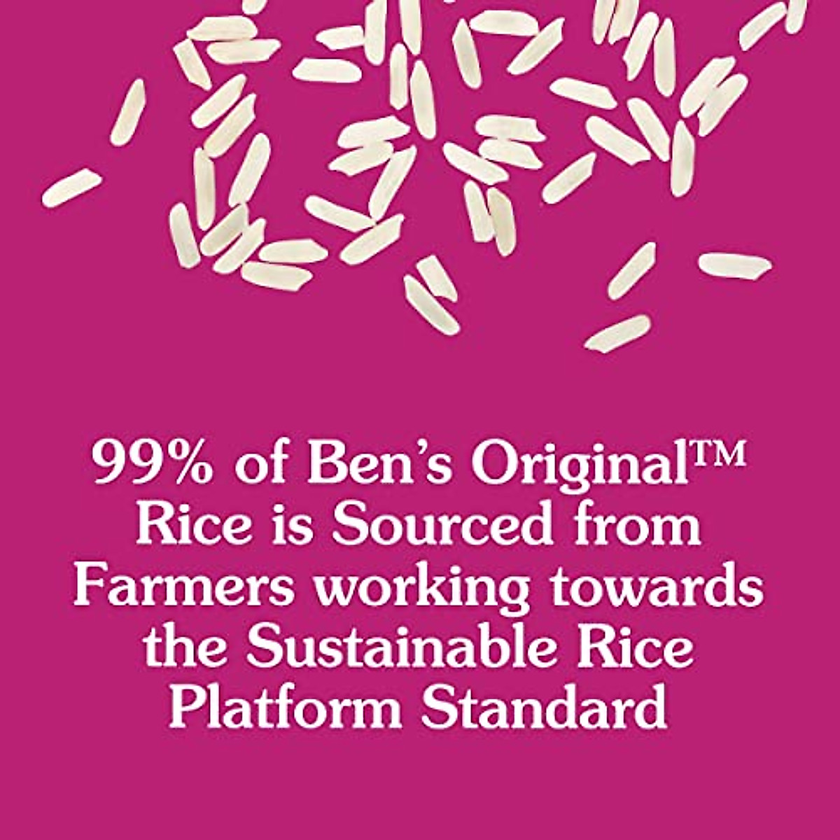BEN'S ORIGINAL Whole Grain Brown Rice, 2 lb Bag