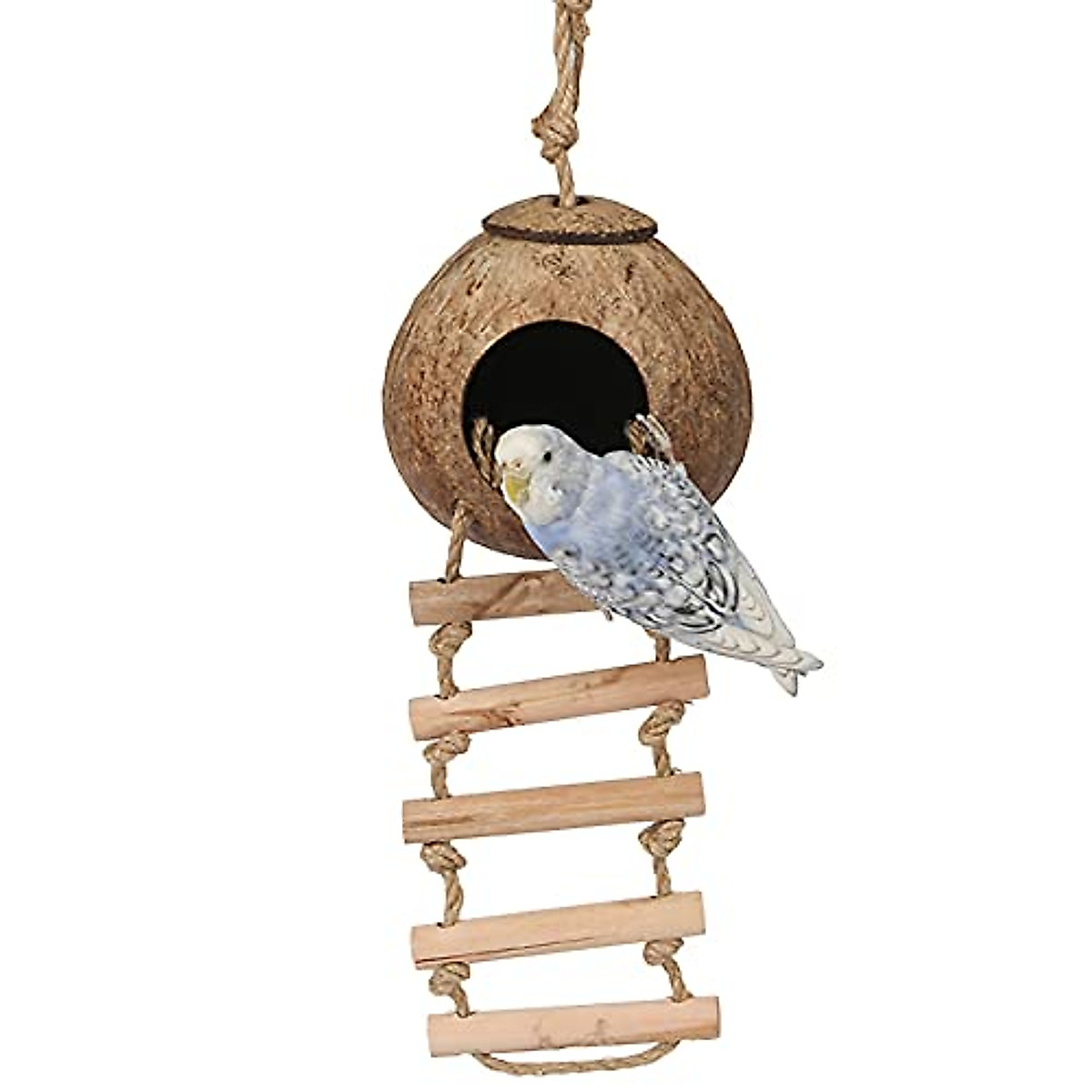 Gecko Coconut Hide Habitat Crested Gecko Cage Accessories Leopard Gecko Climbing Hide Cave Reptile Lizard Ladder Bird Nesting House Hideouts Cave Habitat for Gecko, Reptiles, Lizards, Amphibians