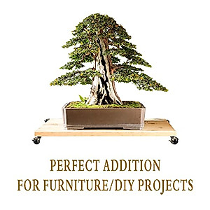 JGJC Casters Set of 4, Antique Brass Casters with Brake, 2 Inch Ball Castor Wheels for Furniture Casters Vintage Wheels Heavy Duty, Table Caster with 360 Degree Swivel Top Plate