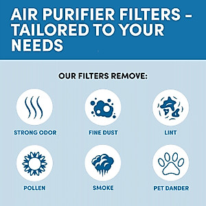 VEVA 8000 Elite Pro Series Air Purifier 2 HEPA & 8 Carbon Pre-Filters Activated Carbon Pre Filters Removes Allergens, Smoke, Dust, Pet Dander & Odor Air Cleaner Home & Office, 325 Sq Ft.