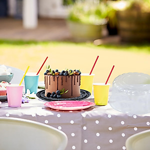 EWAFILU 5pcs 10Inch Round Cake Pies Carriers Plastic Disposable Cake Containers with Dome Lids Clear Bundt Cake Boxes