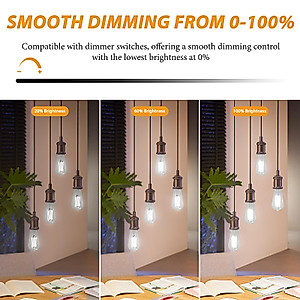 Vintage LED Edison Light Bulbs Dimmable 6W, Equivalent 60W Incandescent, ST58 Antique LED Bulb Daylight White 5000K, LED Filament Bulb E26 Base, CRI 90+, 800lm High Brightness, Clear Glass, Pack of 6