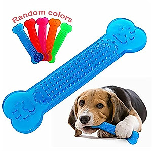 Whipin Dog Toys Dog Chew Toys Rubber Bone Toy Aggressive Chewers Dog Toothbrush Doggy Puppy Dental Care for Dog Accessories (Color : 1PCS Random Color)