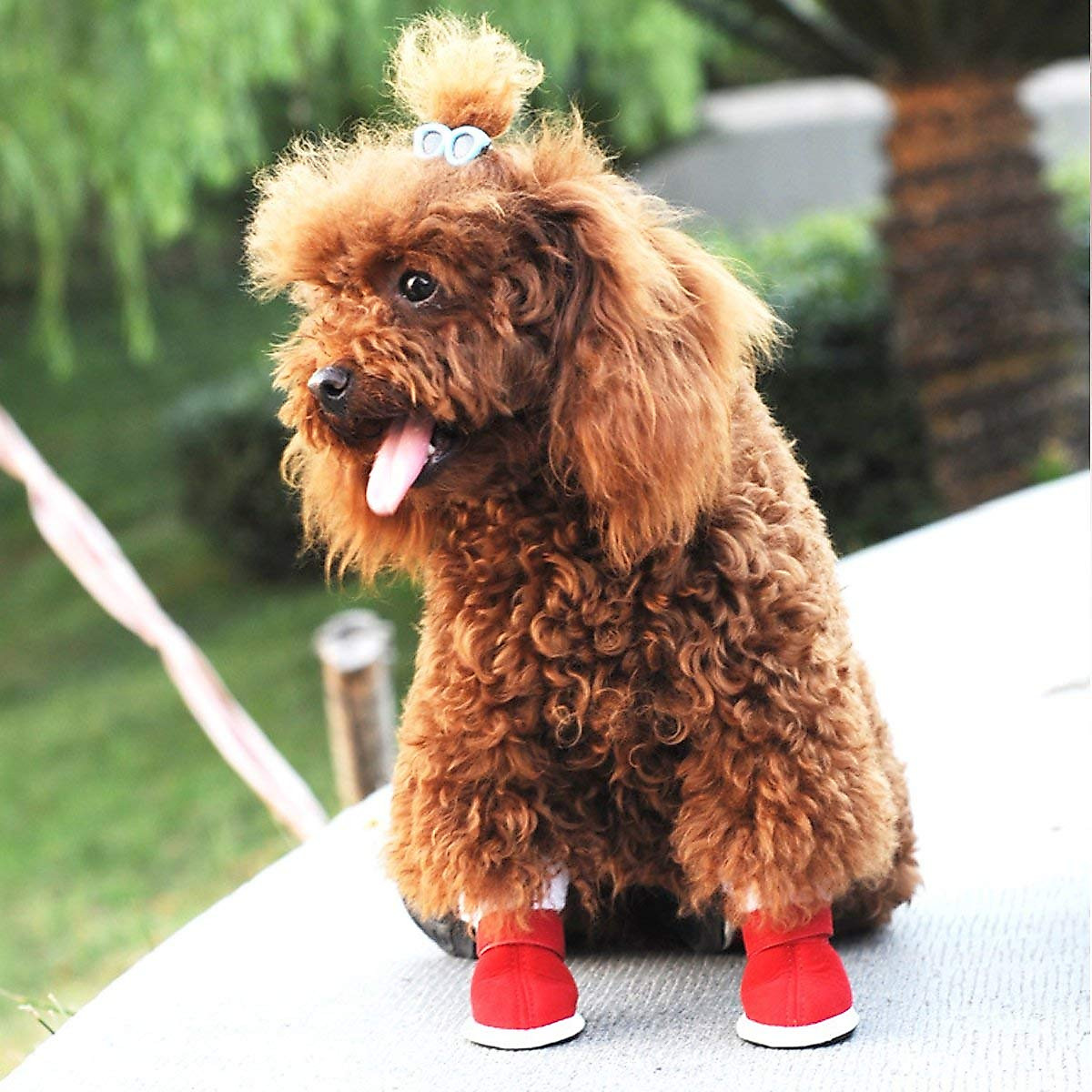 URBEST 2 Pairs Santa Red Detachable Closure Christmas Puppy Cute Dog Winter Shoes Boots (4#, Red)