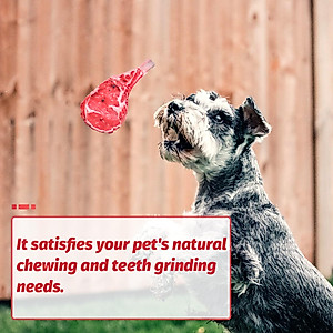 LOGOFUN Dog Squeaky Toy Plush Steak Shaped Dog Toy Stuffed Puppy Chew Toy Toy Puppy Teething Toy Pet Interactive Toy for Pet Supplies