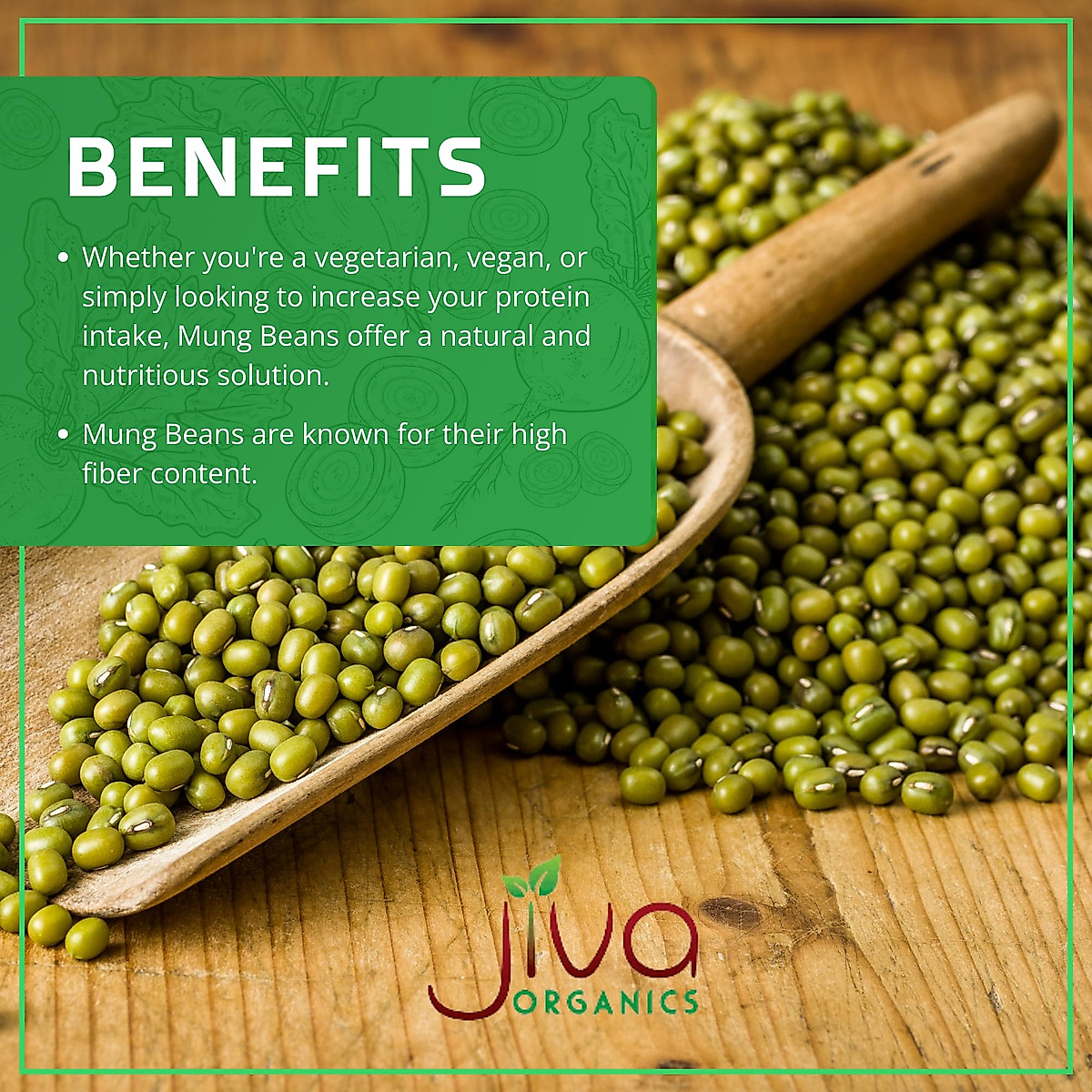 Jiva Organic Mung Bean - Mung Moong Beens Whole for Sprouting and Cooking - 2 lb Bean Bag – Indian Spices