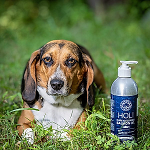 HOLI Salmon Oil for Dogs Skin and Coat | Icelandic Fish Oil for Cats & Dogs | Omega 3 EPA + DHA Supports Joint Mobility, Immune & Heart Health