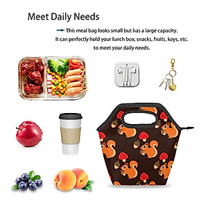 Lunch Bag Funny Animal Squirrel Lunch Box for Women Men Girls Boys Insulated Leakproof Reusable Portable Bento Bag Container Thermal Cooler Bag for Travel Work Picnic Soft Toto Handbag