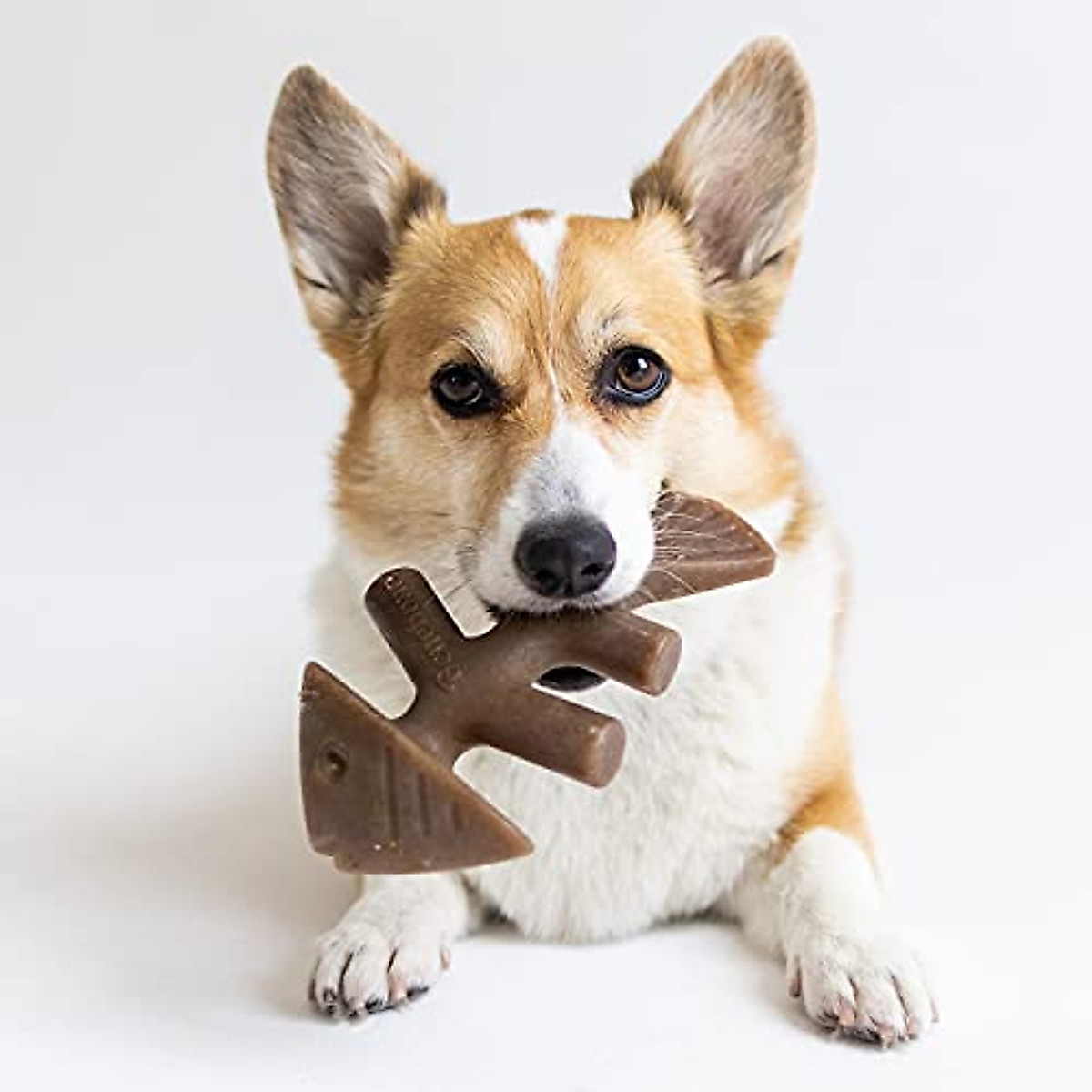 Benebone Fishbone Durable Dog Chew Toy for Aggressive Chewers, Real Fish, Made in USA, Medium